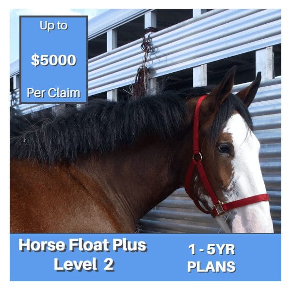 Int Horse Float Plus Level 2 | Warranty Finder